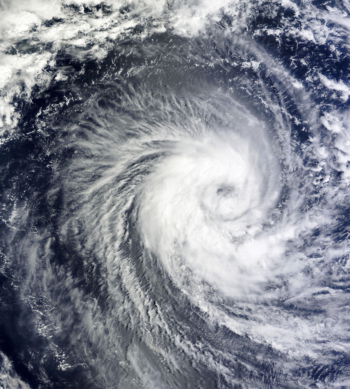 Facts About Recent Hurricanes Hitting Florida – The Lobby Observer